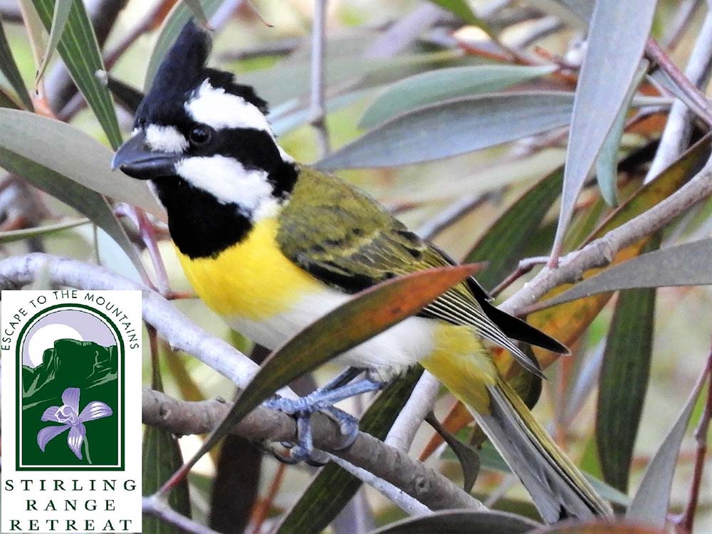 Stirling Range Trails
